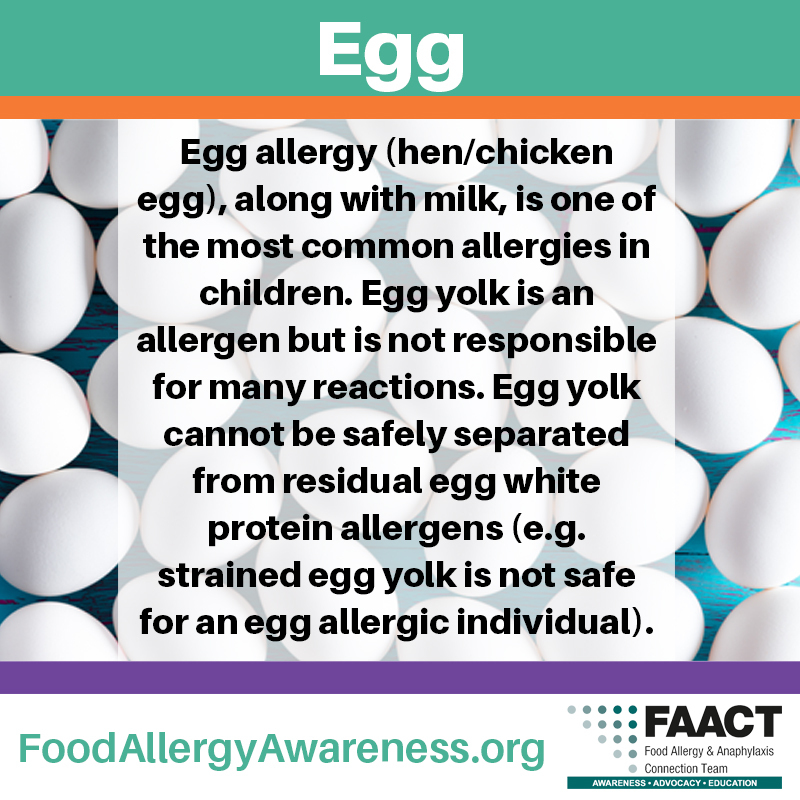 Food Allergy & Anaphylaxis - Food Allergens - Egg | FAACT