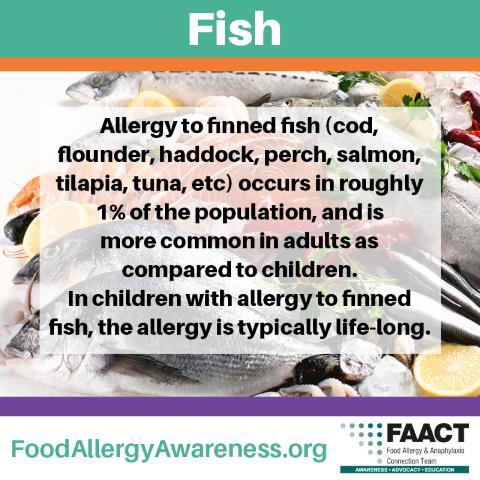 Fish: A Top 9 Food Allergen | FAACT