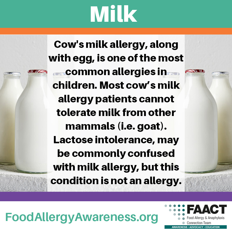 Food Allergy & Anaphylaxis - Food Allergens - Milk | FAACT