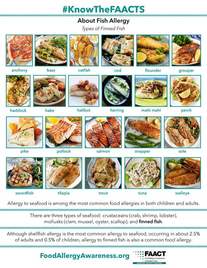 Fish: A Top 9 Food Allergen | FAACT